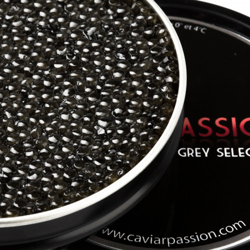 Caviar Grey Selection : un goût exceptionnel - Caviar Passion